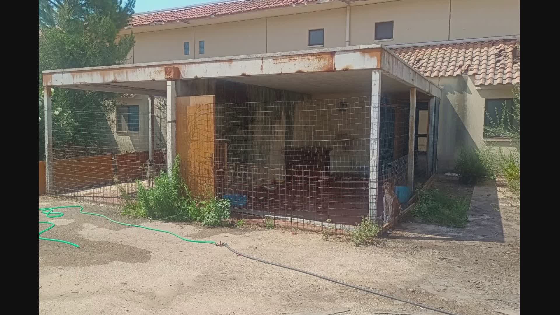 COMISO - CANI IN BOX EX BASE NATO, "IL DEGRADO" - Video Mediterraneo