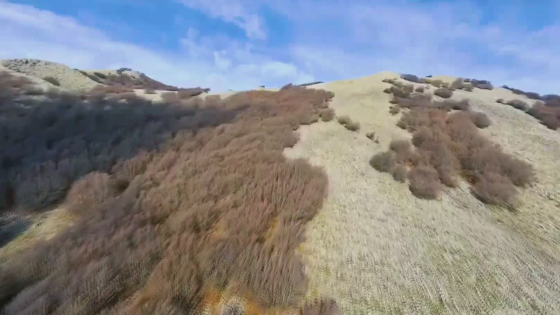 PARCO DELLE MADONIE - "SALVARE MONTE MUFARA", RICORSO AL TAR - Video ...